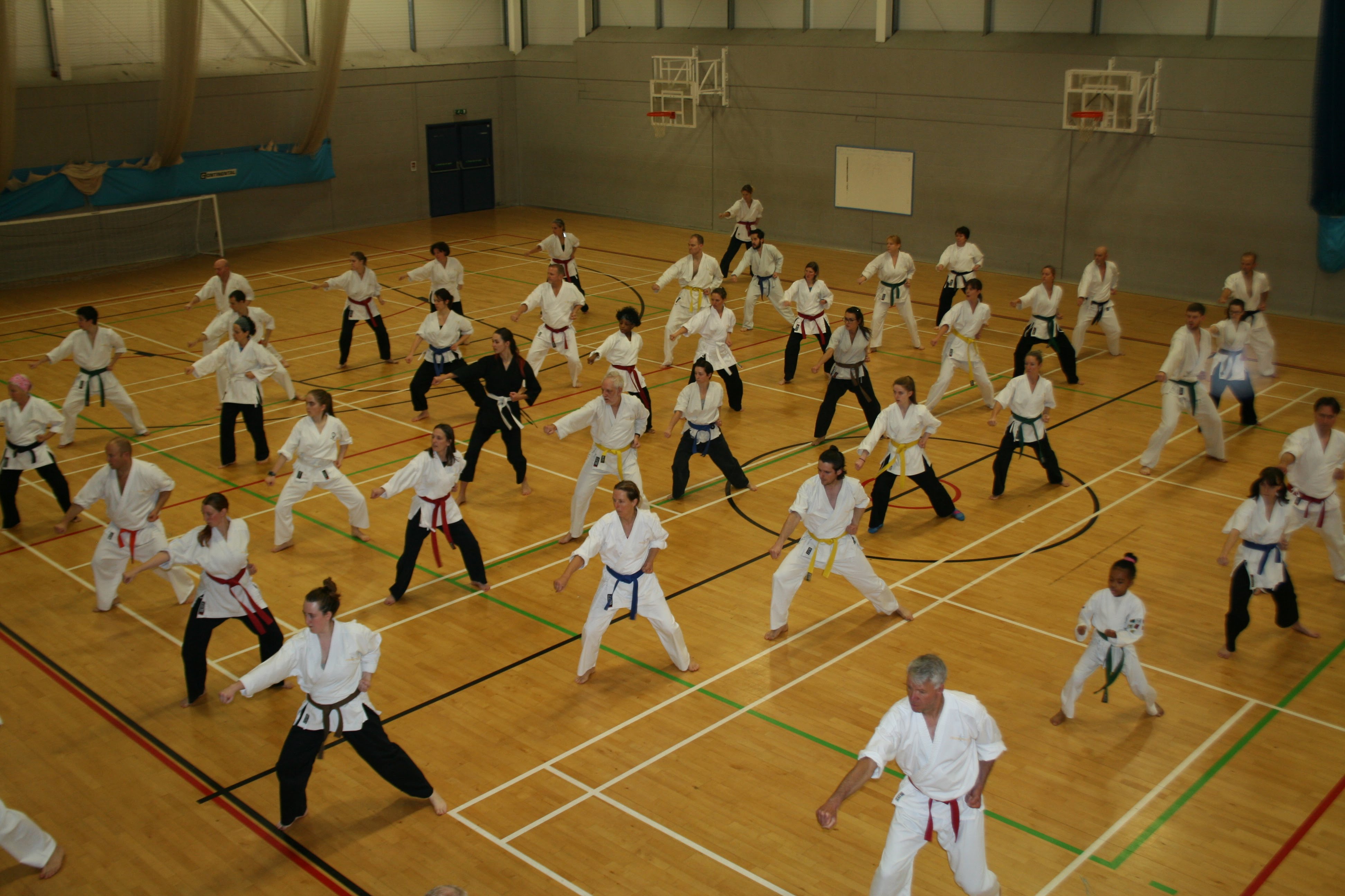Zenshin Dojo - www.zenshindojo.co.uk